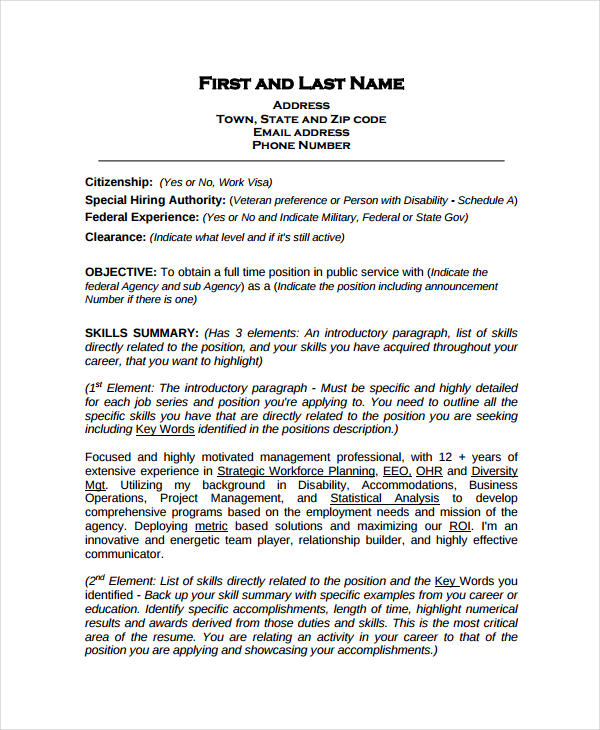 10 Work Resume Templates PDF DOC