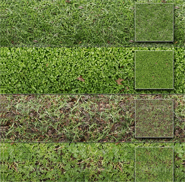 18+ Grass Patterns - Free PSD, AI, Vector, EPS Format Download