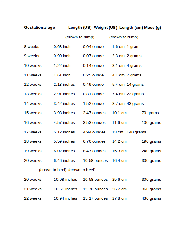 Baby Growth Chart Week by Week Template - 6+ Free Word, Excel, PDF ...