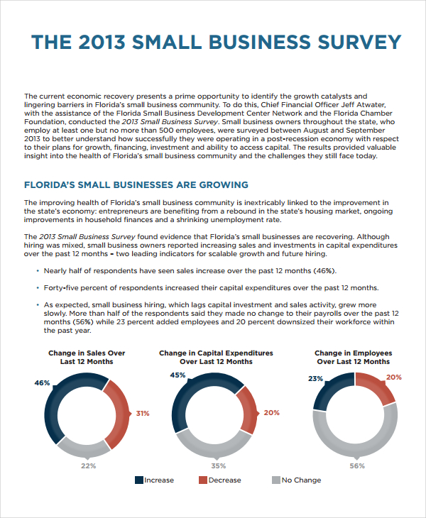 Business Survey Template - 10+ Free Word, PDF Document DoWnloads