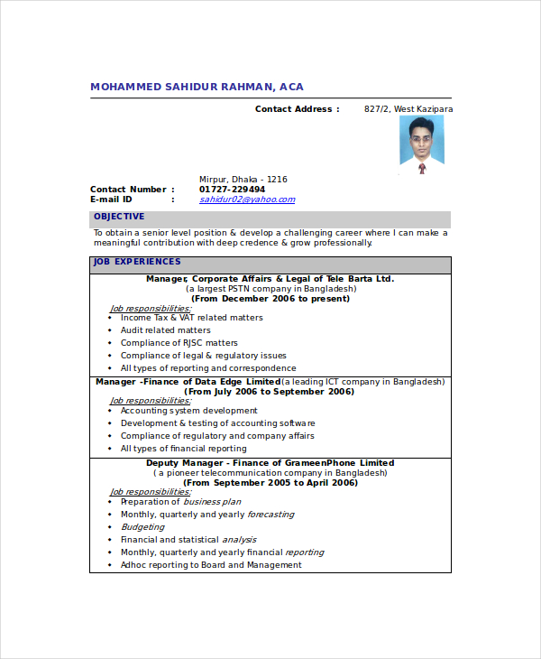 Chartered Accountant Resume Template - 7+ Free Word, PDF Documents Download