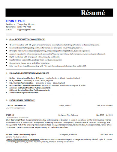 Chartered Accountant Resume Template - 7+ Free Word, PDF Documents Download