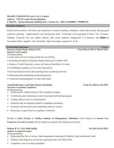 Chartered Accountant Resume Template - 7+ Free Word, PDF Documents Download