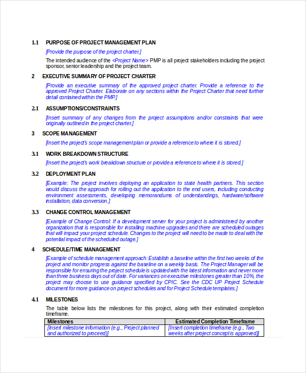 Project Plan Template 12 Free Word PSD PDF Documents Download