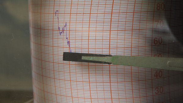 Perpetual Inventory Template - Free Word, Excel , PDF Documents Download