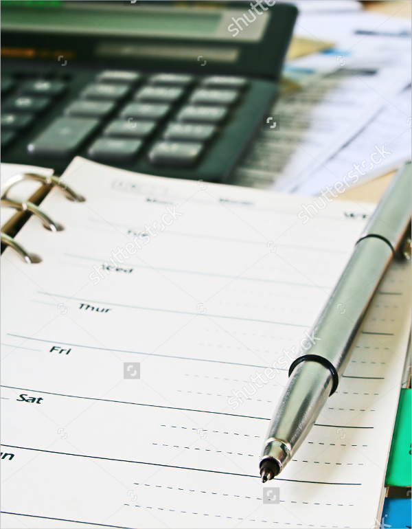 5 Daily Budget Planner Templates Free Sample Example Format Free 