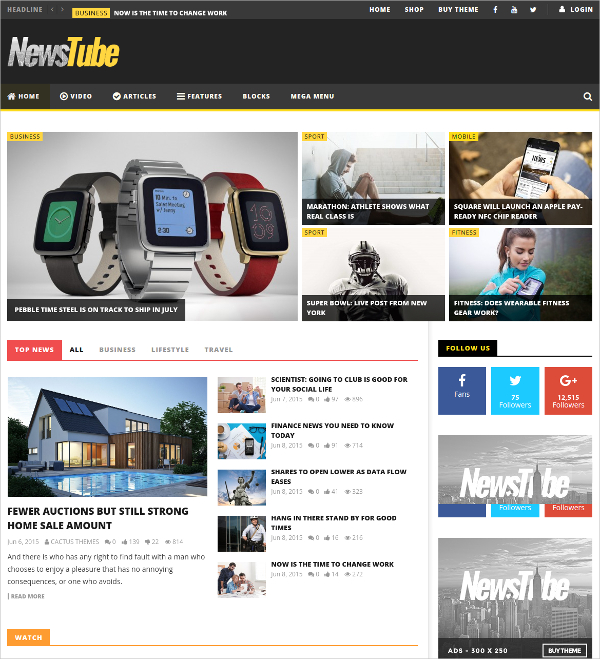 20+ Video Blog Themes & Templates