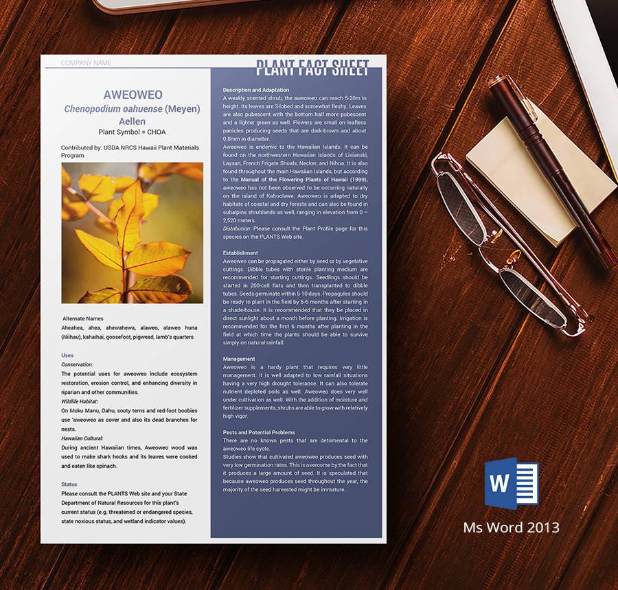 25 Fact Sheet Templates Survey Campaign