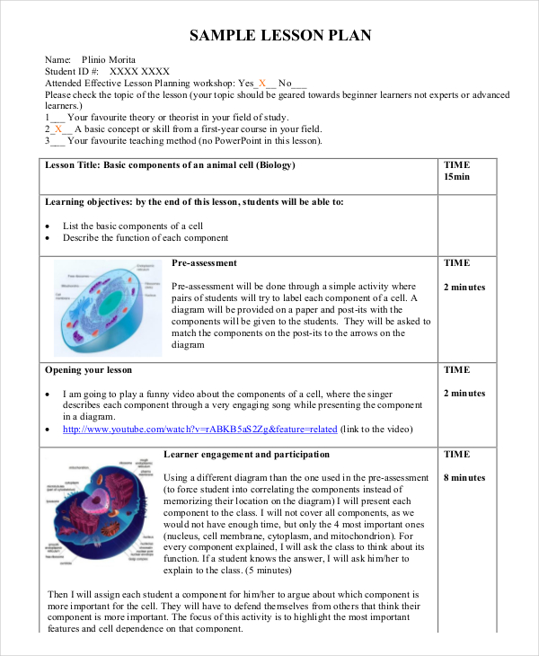 Lesson Plan Template - 14+ Free Word, PDF Documents Download