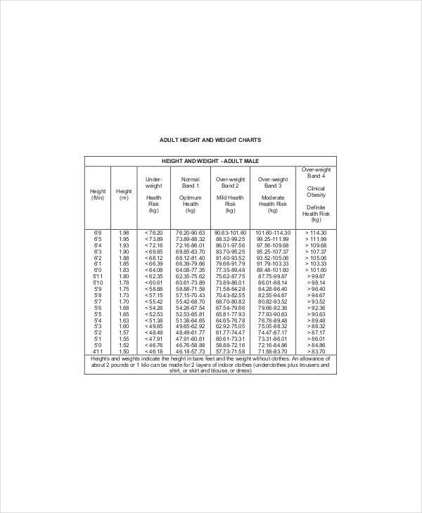 Height And Weight Chart Templates For Men - 7+ Free PDF Documents Download