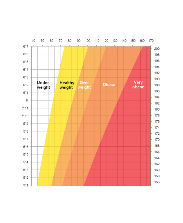 Height And Weight Chart Templates For Men - 7+ Free PDF Documents Download