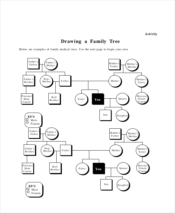 Family Tree Template 10 Free PSD PDF Documents Download