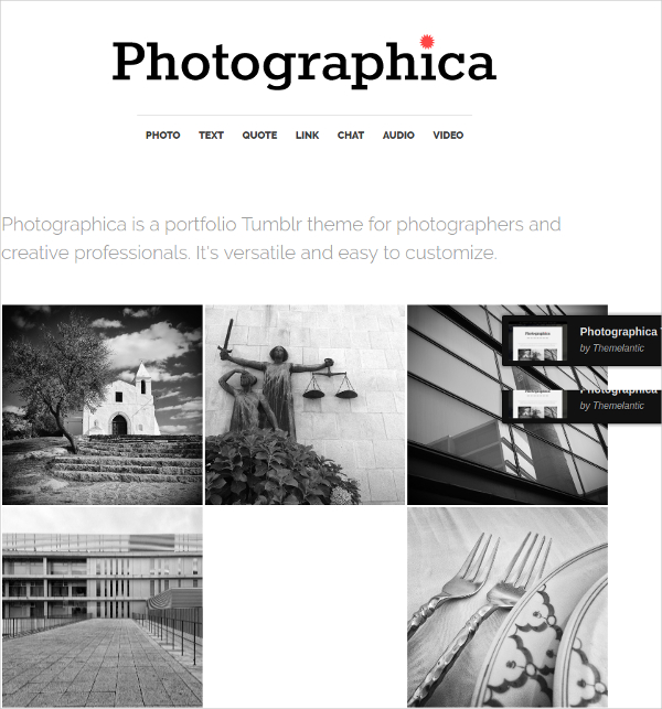 17+ Photography Tumblr Themes & Templates | Free & Premium Templates