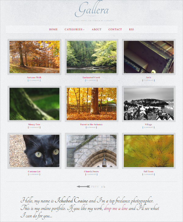 17+ Photography Tumblr Themes & Templates | Free & Premium Templates