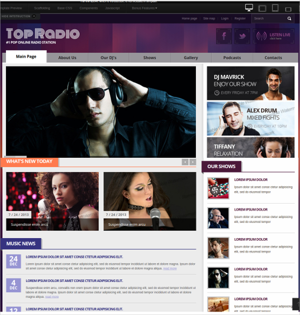 16+ Radio Station Website Themes & Templates