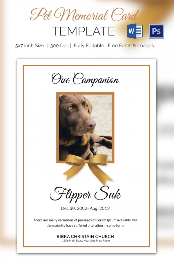 5 Pet Memorial Cards Word PSD AI