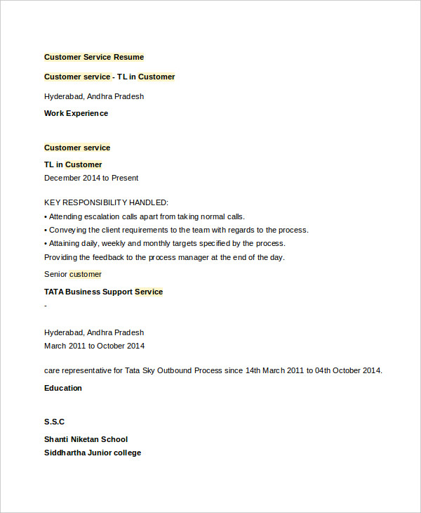 11 Customer Service Resume Templates PDF DOC