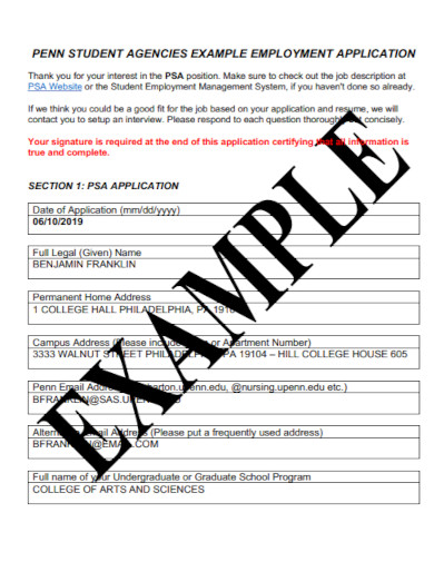 Job Application Letter - 13+ Free PDF, Word Documents Download