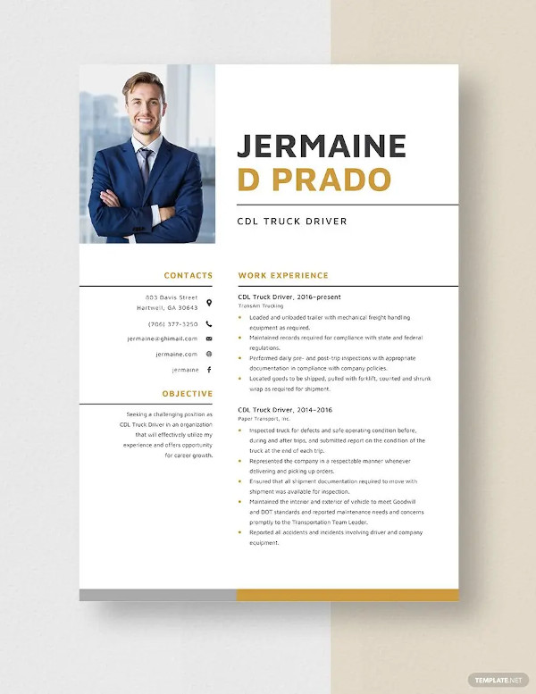 15+ Truck Driver Resume Templates - PDF, DOC