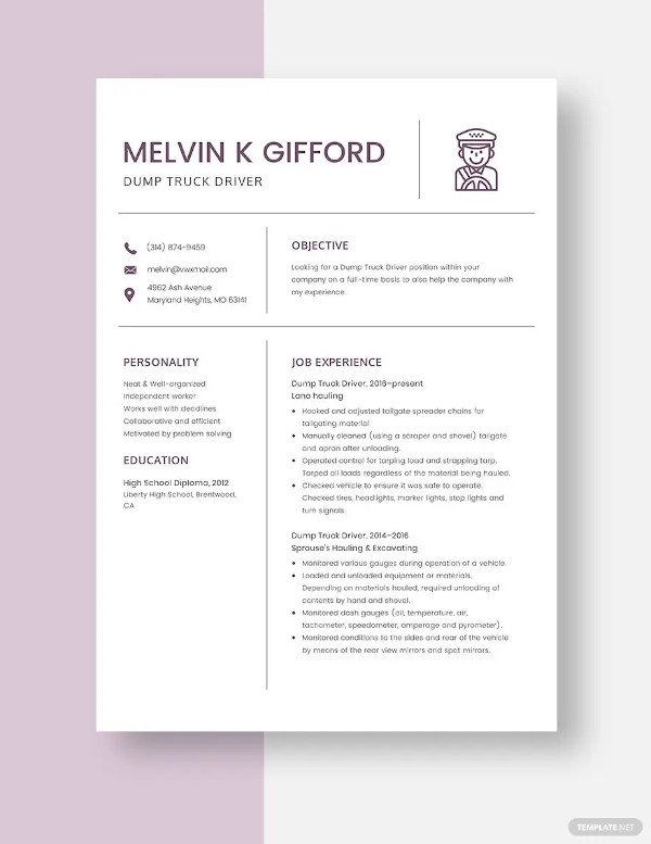 15+ Truck Driver Resume Templates - PDF, DOC