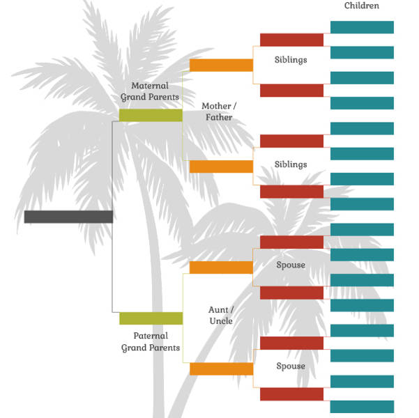 Genogram Template - 22+ Word, PDF Documents Download