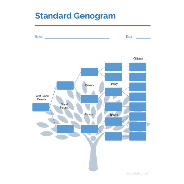 Genogram Template 22 Word PDF Documents Download