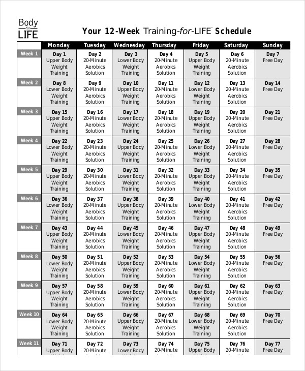 12 Weeks From Now modifiyegaraj Asking List