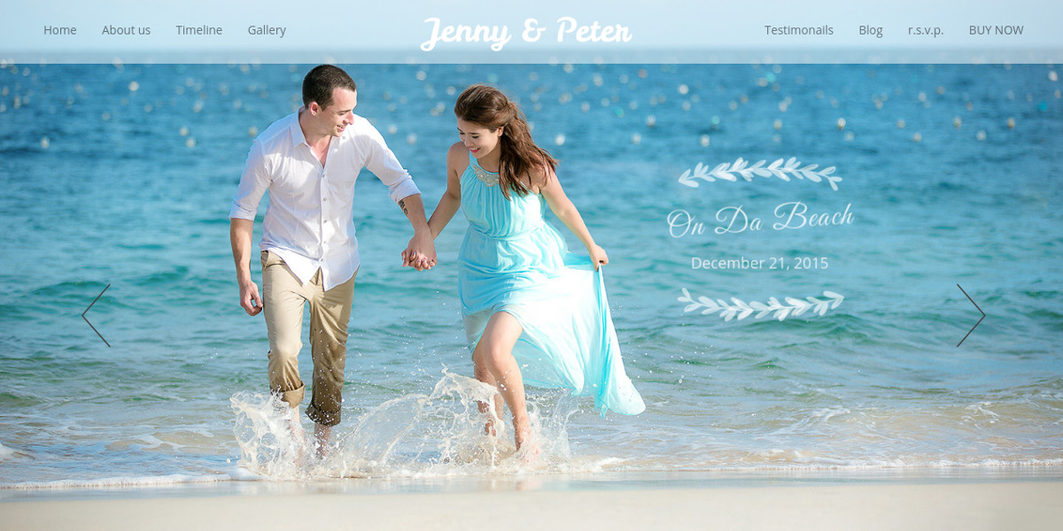 10+ Beach Website Themes & Templates