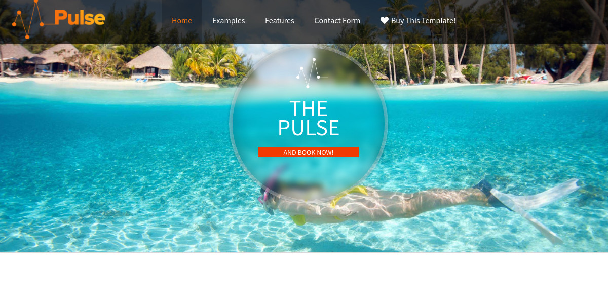 10+ Beach Website Themes & Templates | Free & Premium Templates