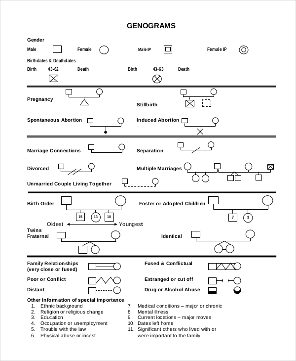 Genogram Template 22 Word PDF Documents Download