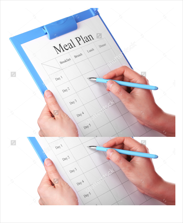 Meal Plan Template - 22+ Free Word, PDF, PSD, Vector Format Download
