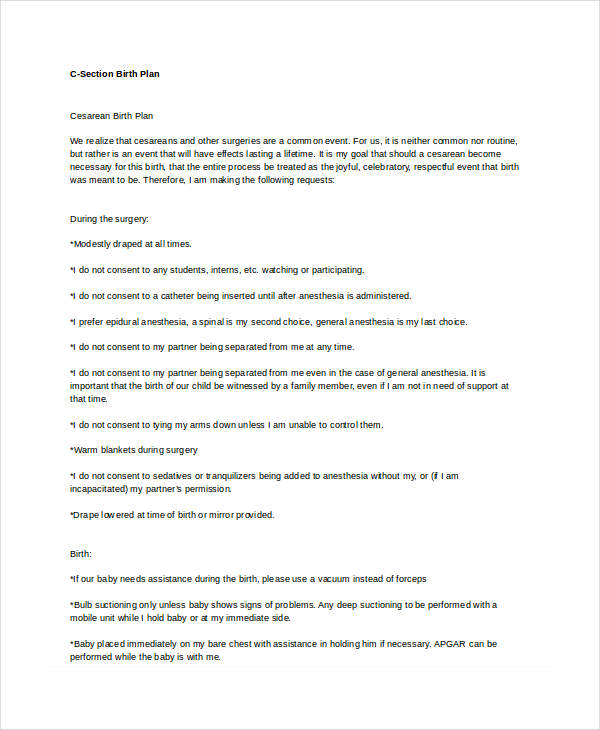 Birth Plan Template 17 Free Word PDF Documents Download
