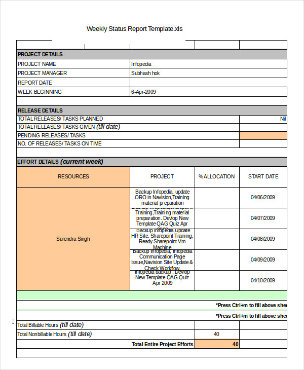 14 Weekly Report Templates Sample Word Excel Templates