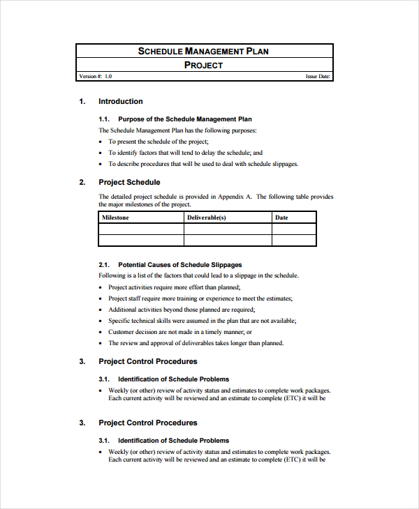 15 Project Plan Templates