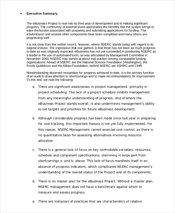Project Management Executive Summary Template Flyer Template