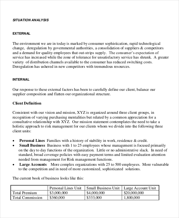 Insurance Agency Business Plan Template Free Download