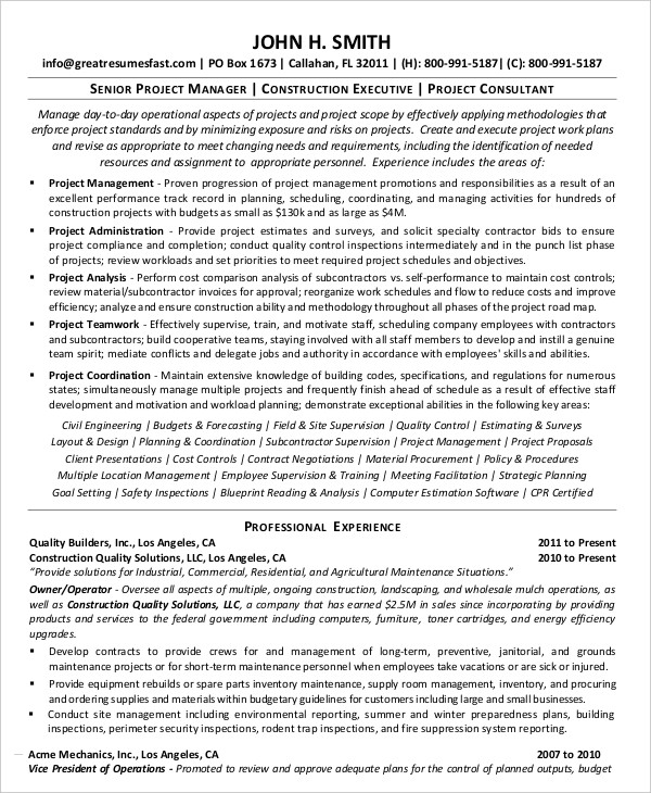 Project Management Resume Example - 10+ Free Word, PDF Documents Download