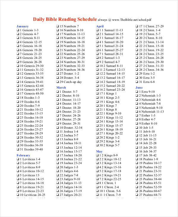 Daily Schedule Template 9 Free Word PDF Documents Download Daily Schedule Template 9 Free Word PDF Documents Download