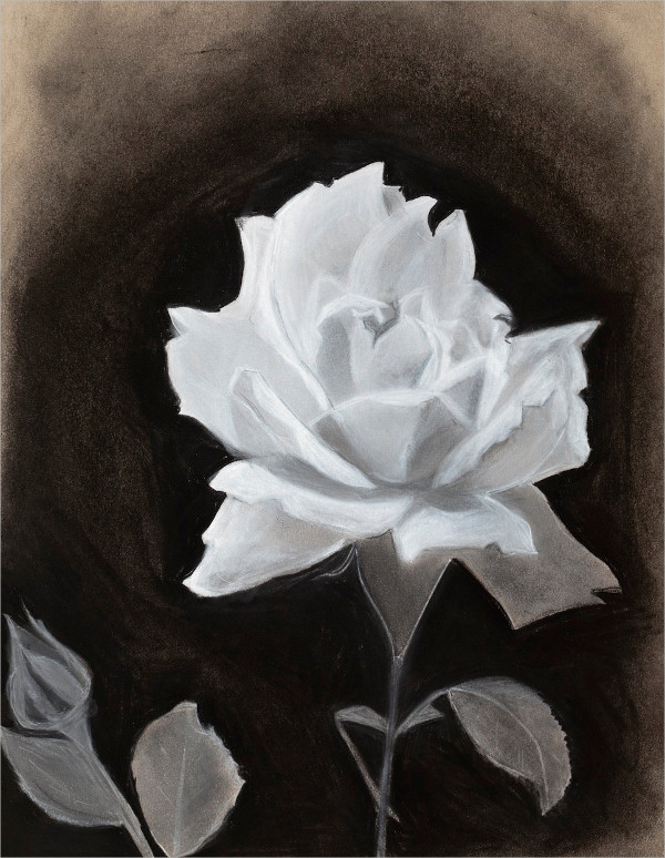 18+ Rose Drawings - Free PSD, Vector AI, EPS Format Download