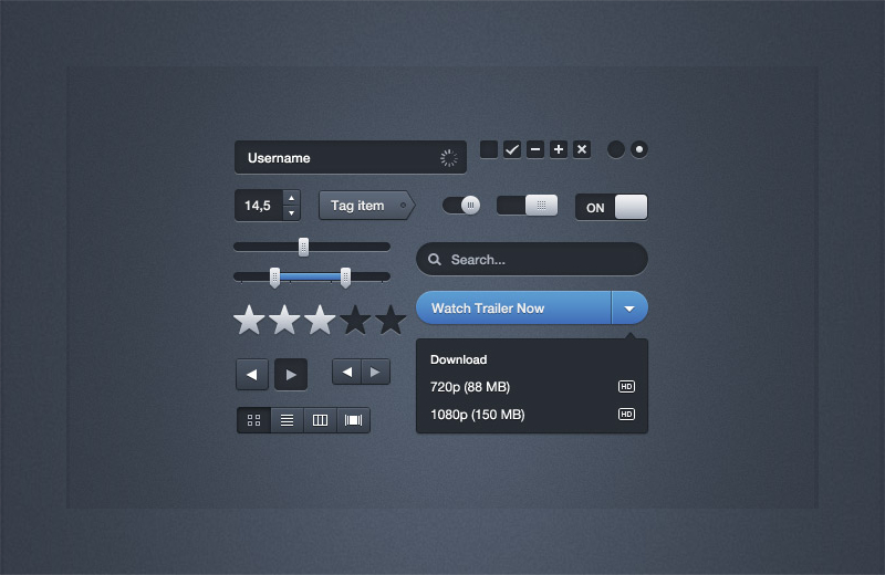 19+ Beautiful PSD Web Forms