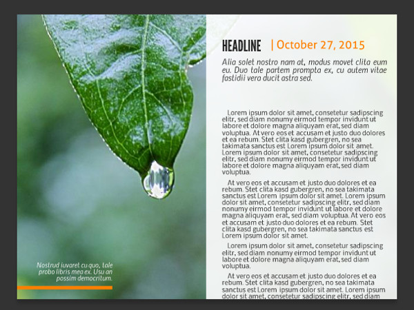 33+ Free Newsletter Templates - Free PSD, AI, Vector, EPS Format