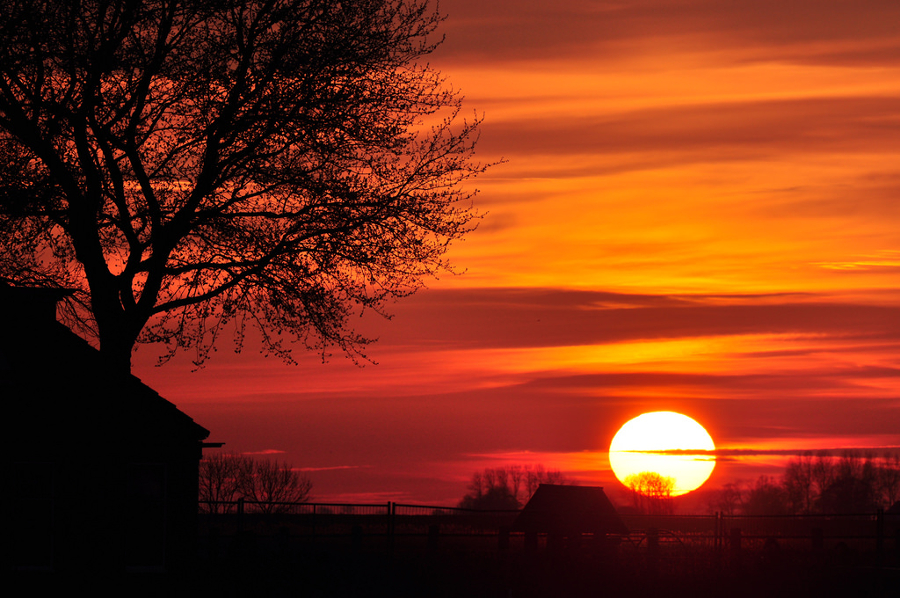 21+ Beautiful Sunset Paintings