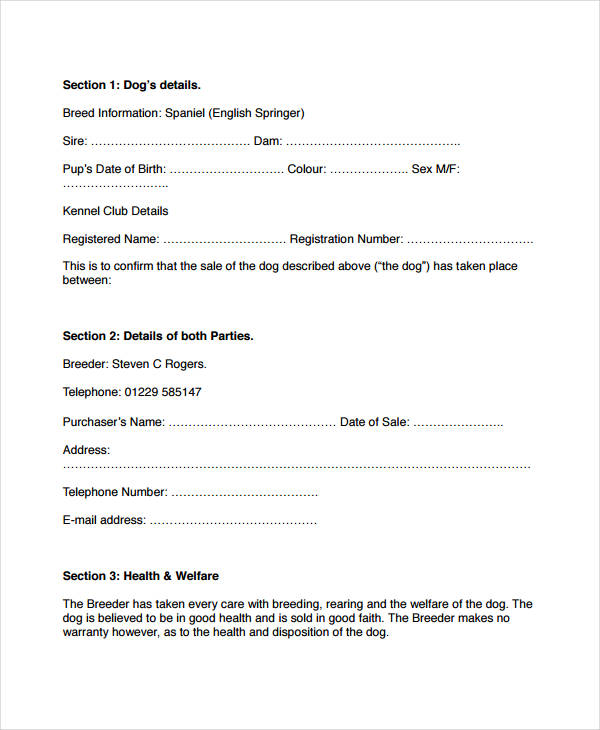 22 Sales Contract Templates Word Pages