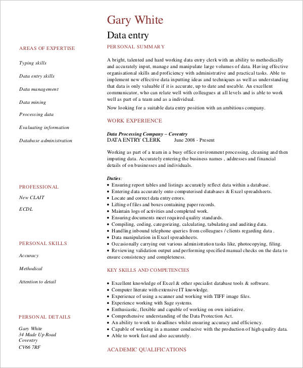 5+ Data Entry Resume Templates - PDF, DOC