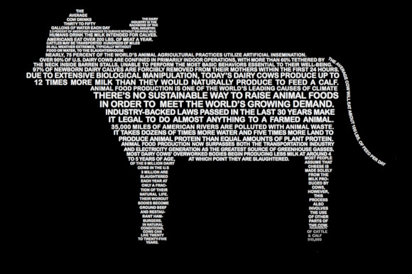 15 Examples of Animal Typography