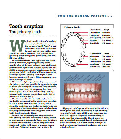Baby Teeth Chart - 8+ Free PDF Documents Download