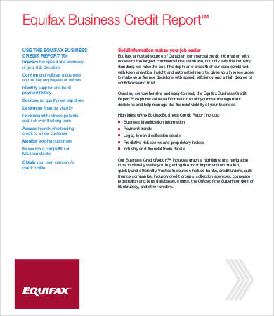 Credit Report Template - 17+ Free PDF, Excel, Word Documents Download