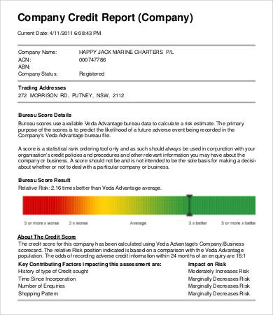 Credit Report Template - 17+ Free PDF, Excel, Word Documents Download