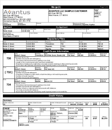 Credit Report Template - 17+ Free PDF, Excel, Word Documents Download