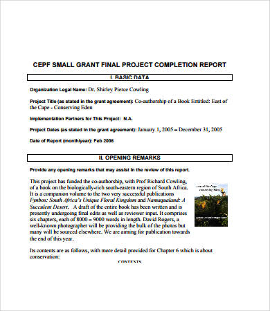 Project Report Format - 28+ Free PDF, Word Documents Download | Free ...